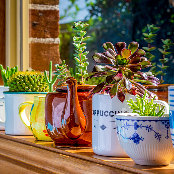 10 Design Ideas to Make the Most of Your Sunny Window | Wowdecor.ae